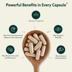 natural detox with burdock root
