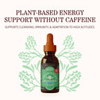 natural detox with chlorophyll concentrate