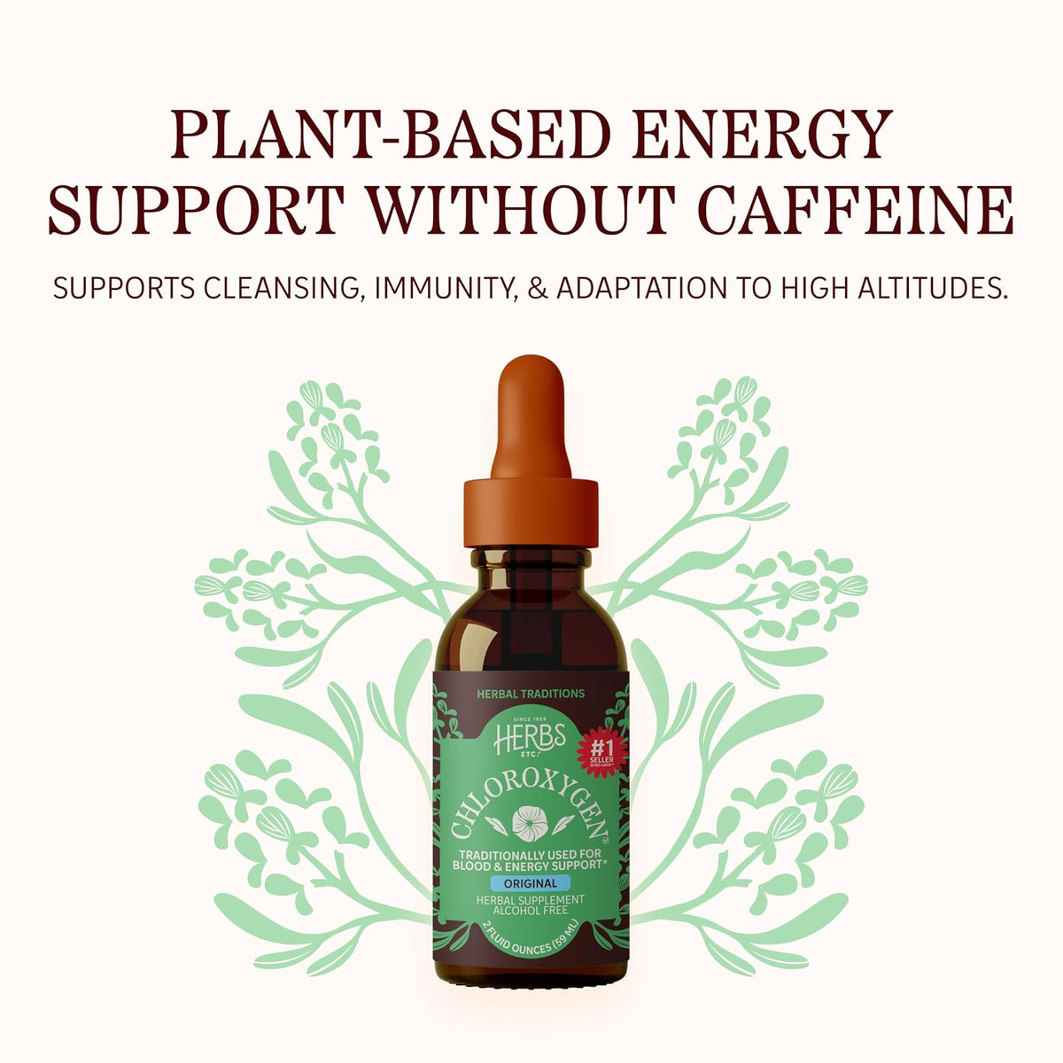 natural detox with chlorophyll concentrate