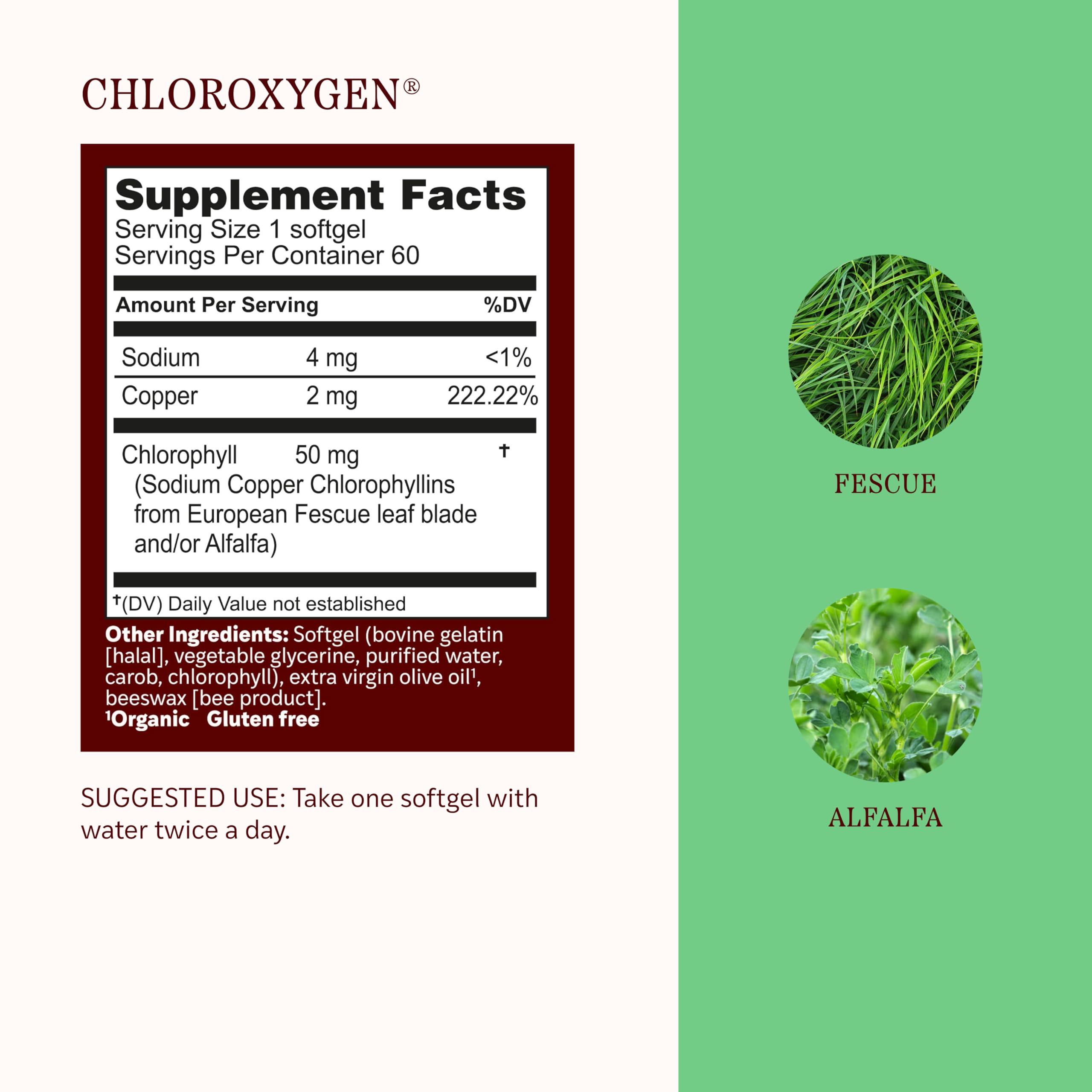 natural detox with chlorophyll softgels