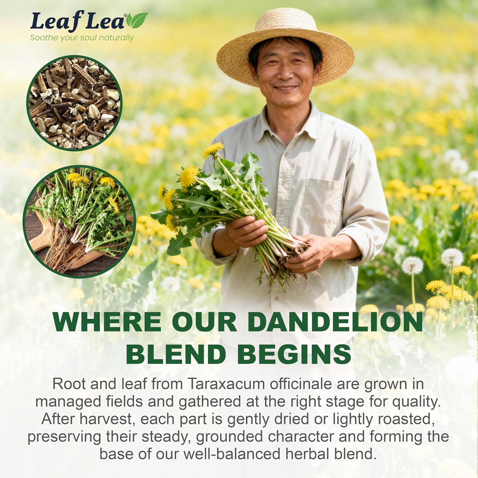 natural detox with dandelion tea