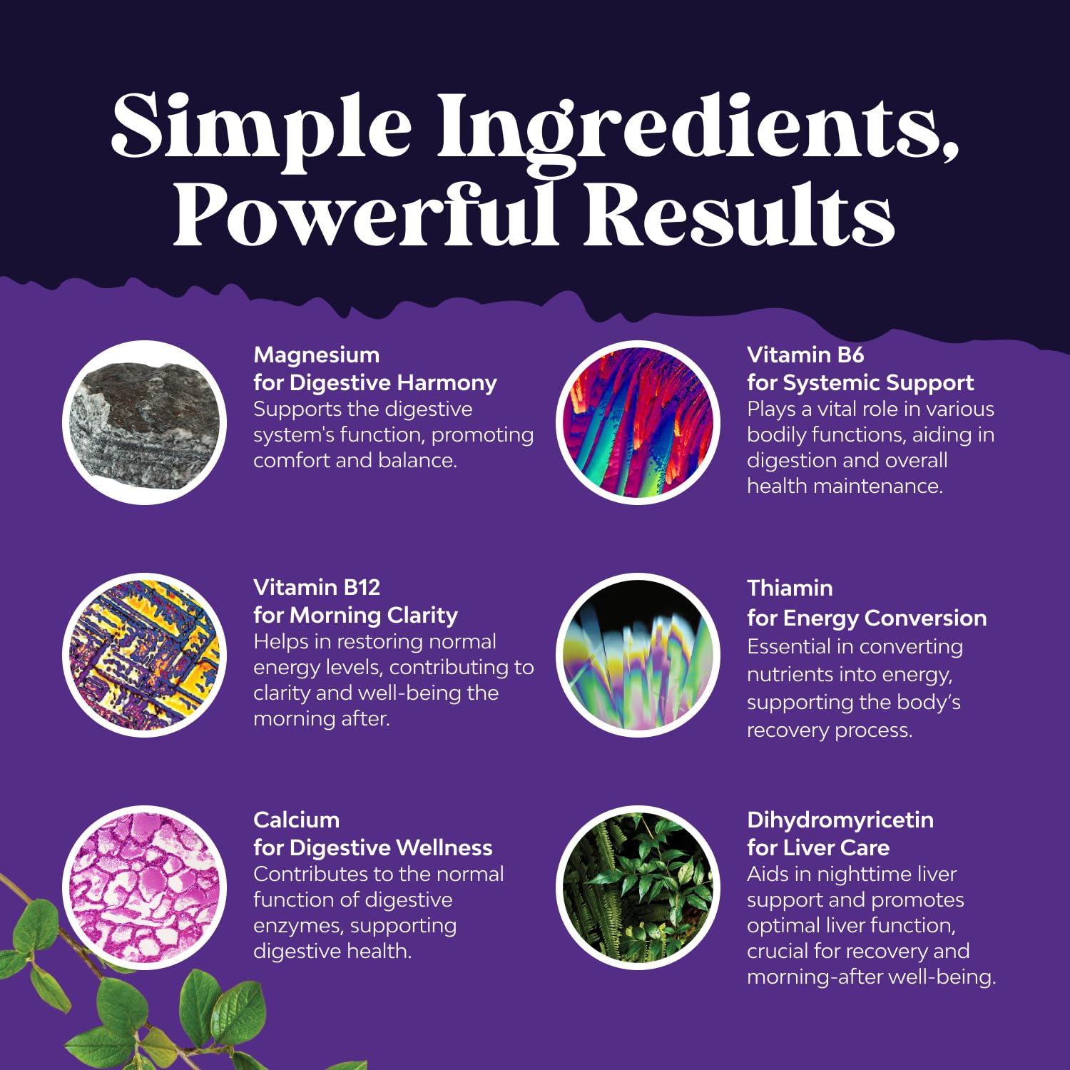 natural detox with dihydromyricetin