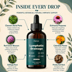 natural detox with echinacea