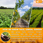 natural detox with ginger tea