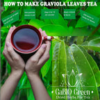 natural detox with graviola leaves