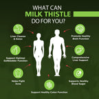natural detox with milk thistle
