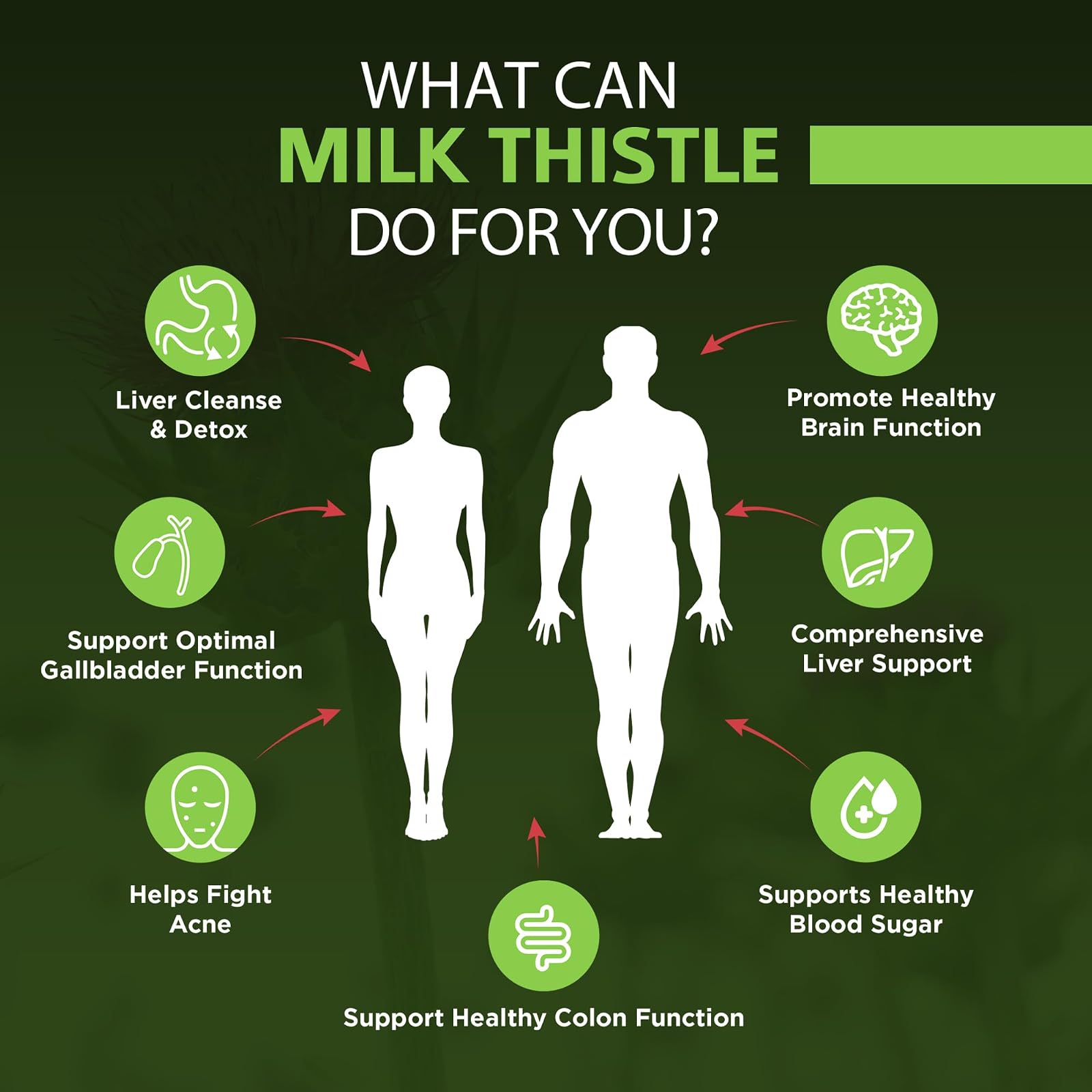 natural detox with milk thistle