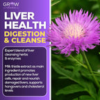 natural detox with milk thistle