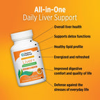 natural detox with milk thistle
