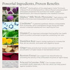natural detox with milk thistle