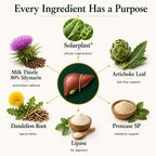 Natural detox with Milk Thistle