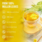 natural detox with mullein tea