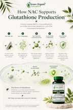 Natural detox with N-Acetyl Cysteine