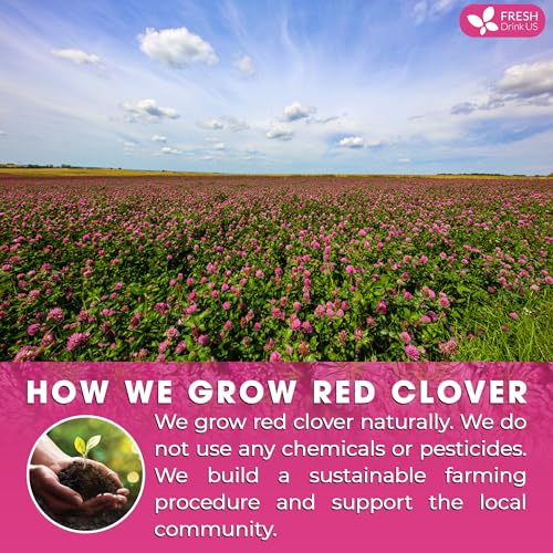 natural detox with red clover tea