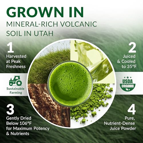 natural detox with wheat grass juice