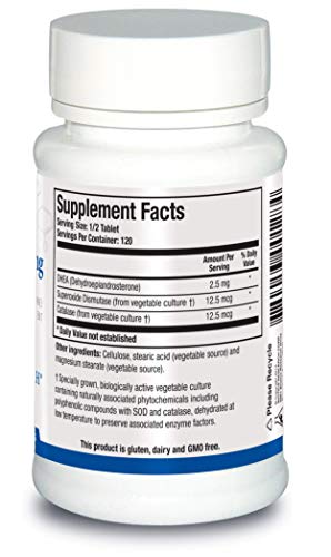 natural DHEA for energy boost