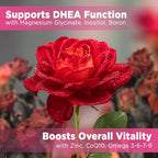 natural DHEA supplement gummies