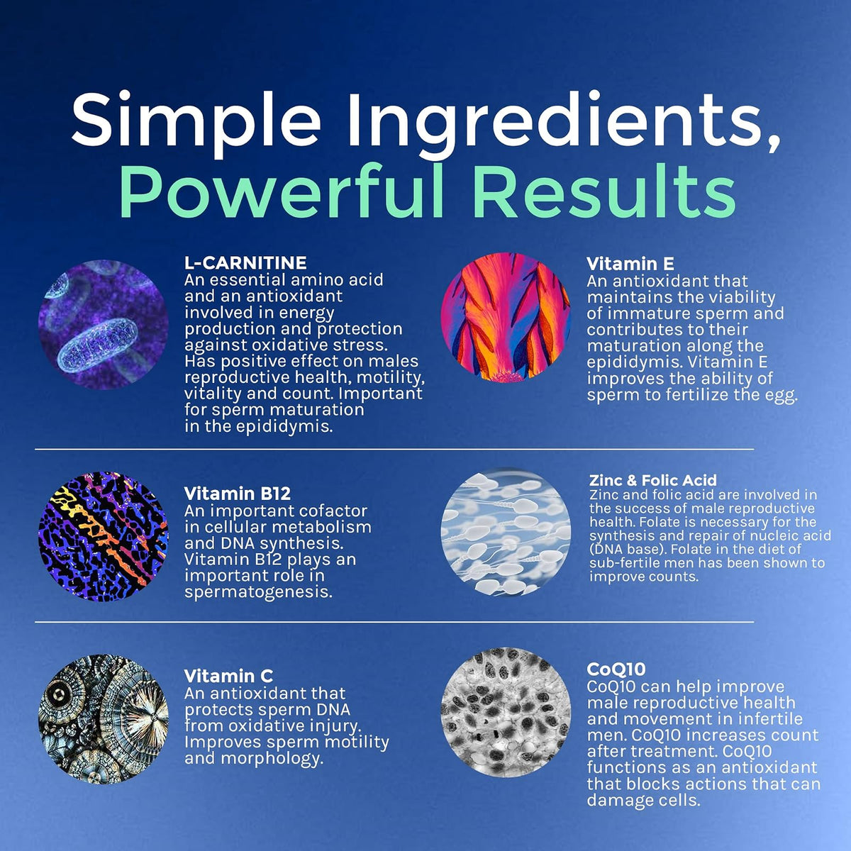 Natural dietary support for men's wellness