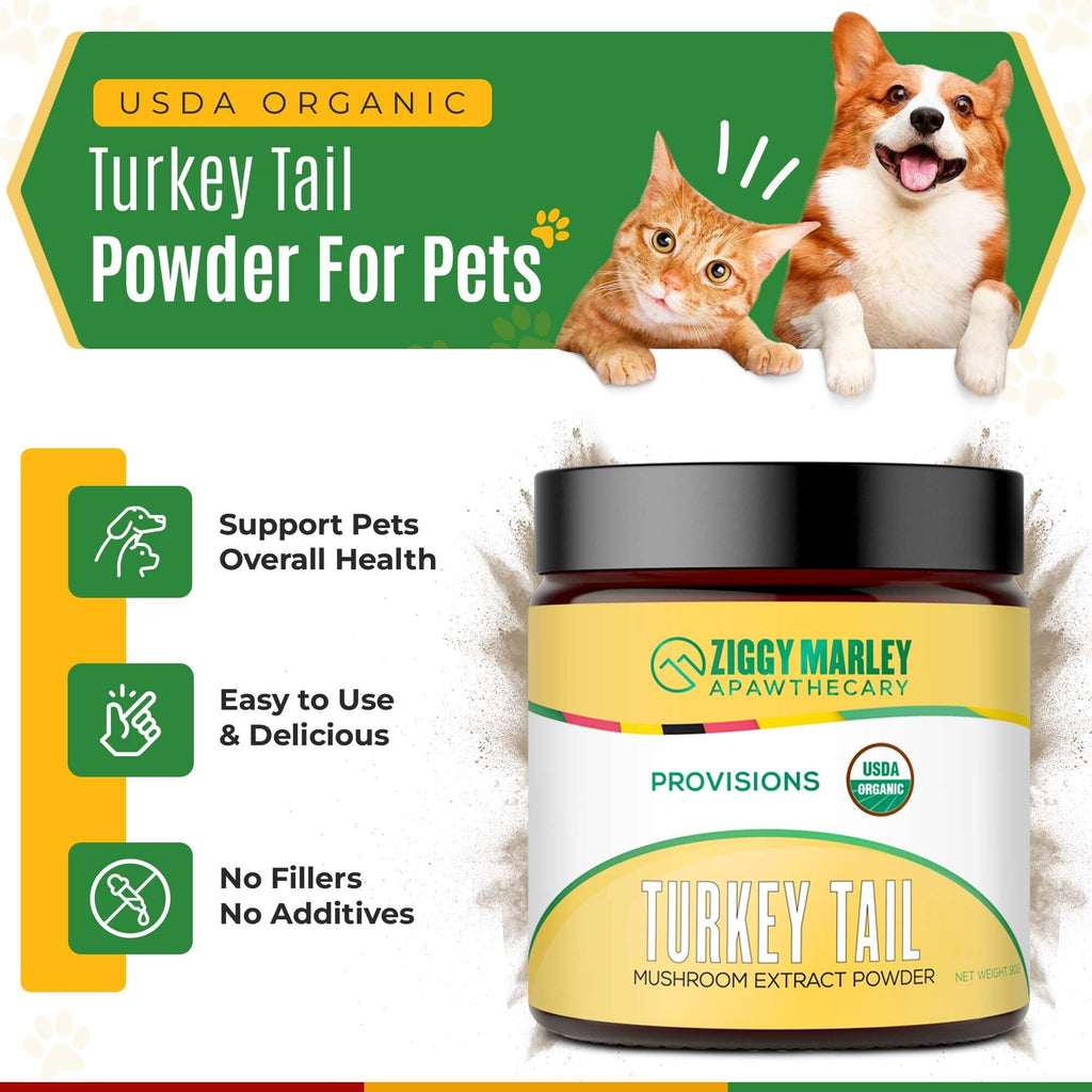 natural digestion aid for cats and dogs