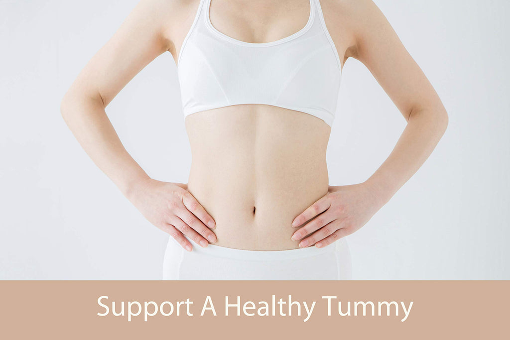 natural digestion aid psyllium husk