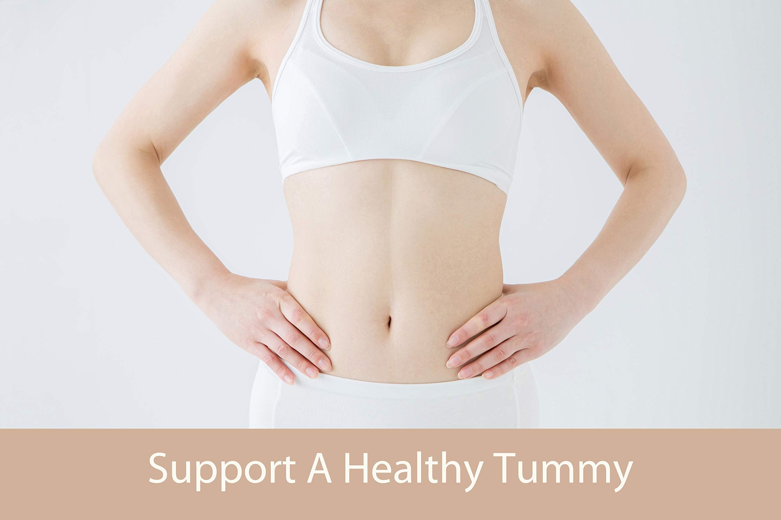 natural digestion aid psyllium husk