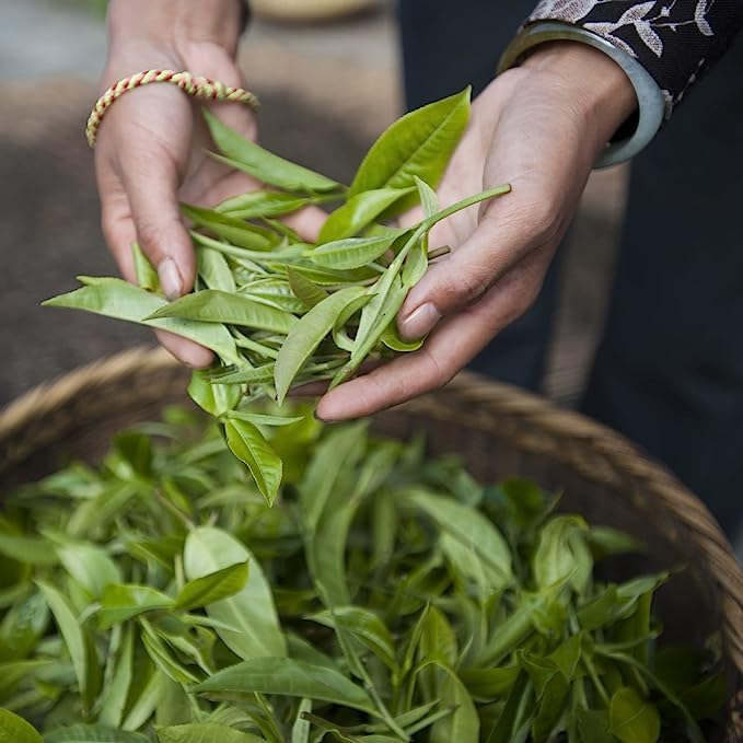 natural digestion support herbal tea