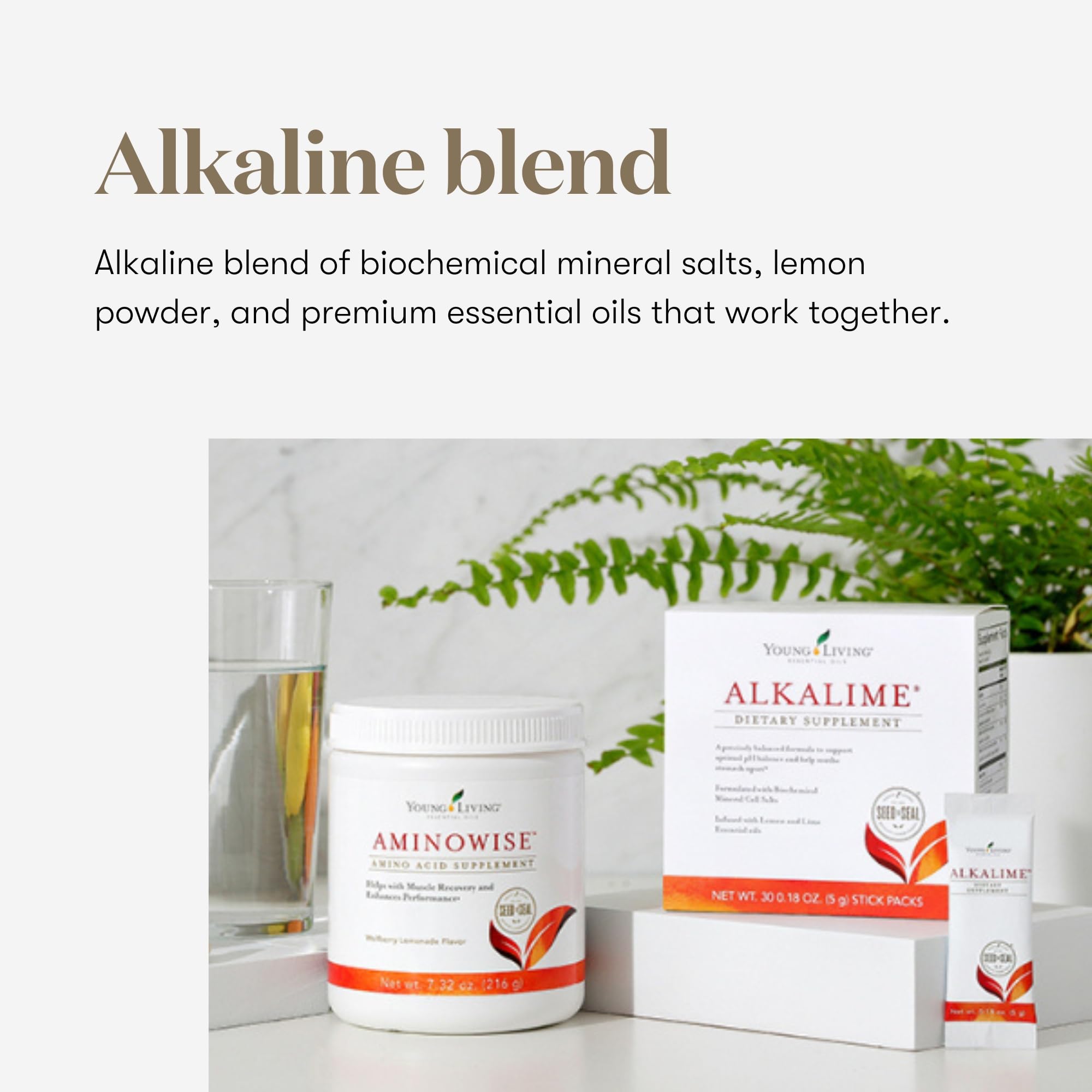 natural digestive aid AlkaLime supplement