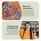 Natural digestive aid Enzyme 365