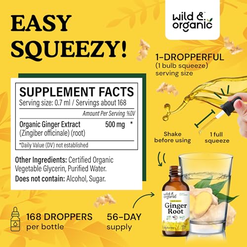 natural digestive aid ginger extract