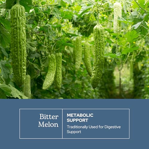 Natural digestive aid with bitter melon