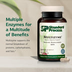 natural digestive aid with enzymes