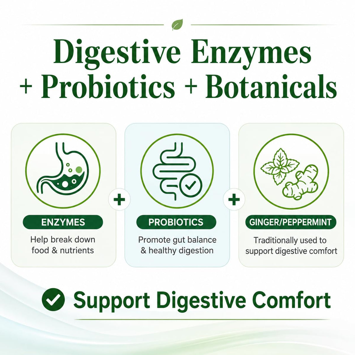 Natural digestive aid with enzymes