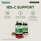 natural digestive enzyme support