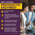 Natural digestive enzymes for better absorption