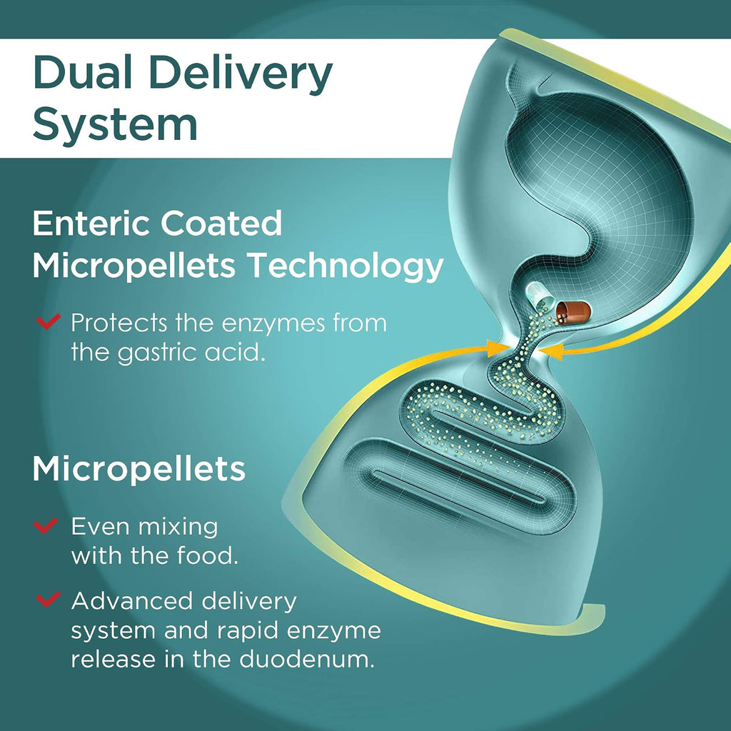 natural digestive enzymes for better absorption