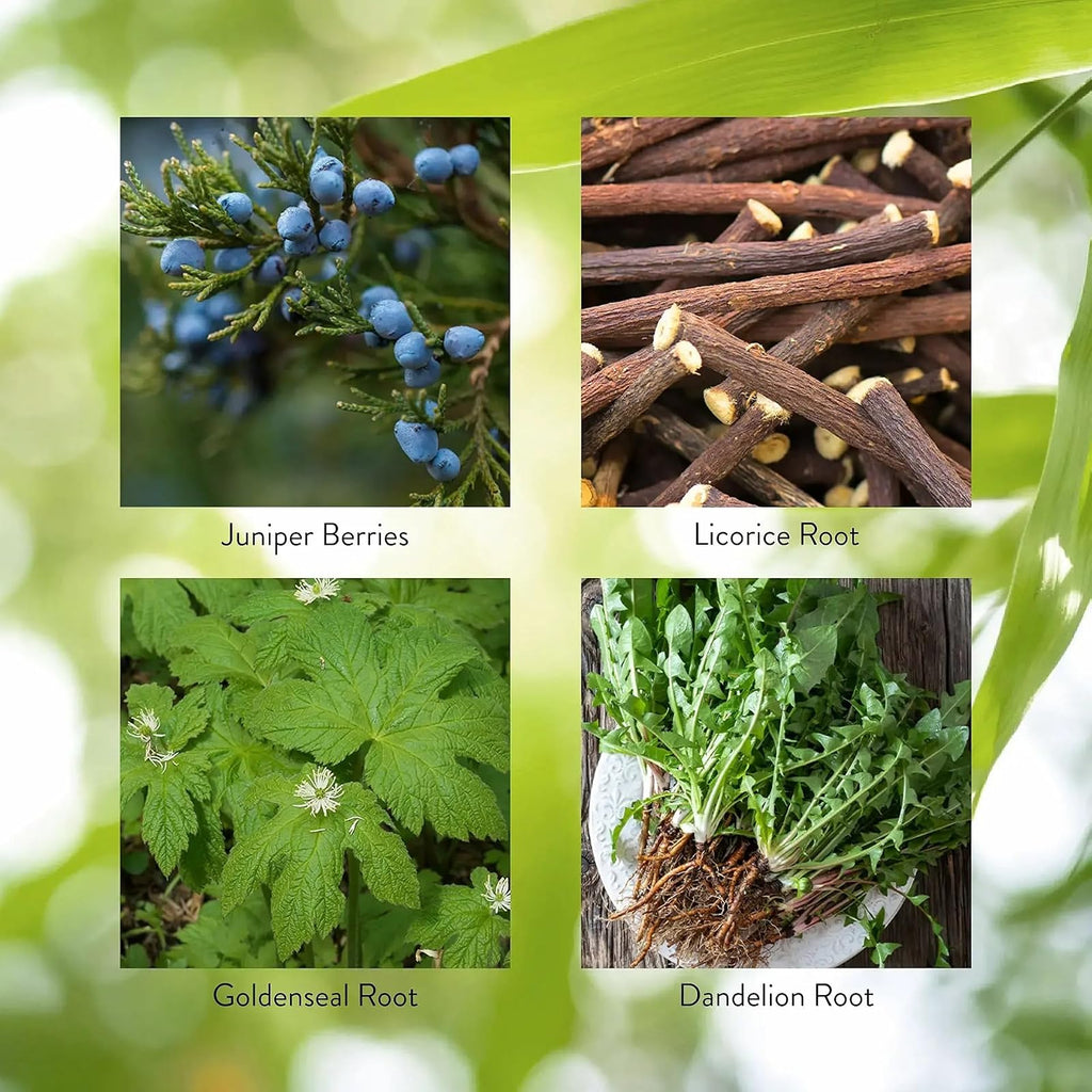 Natural digestive enzymes for better digestion
