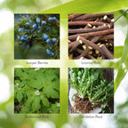 Natural digestive enzymes for better digestion