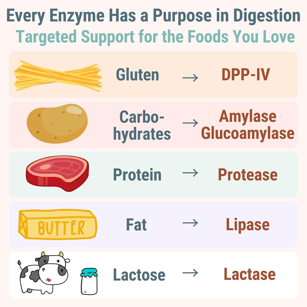 natural digestive enzymes for bloating