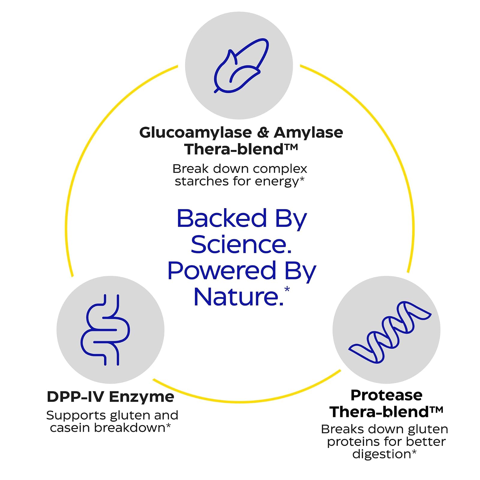 Natural digestive enzymes for comfort