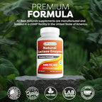 natural digestive enzymes for comfort