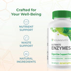 Natural digestive enzymes for everyday use