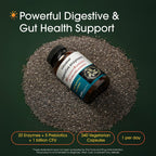 Natural digestive enzymes for gut health