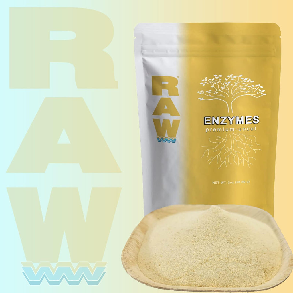 natural digestive enzymes for gut health