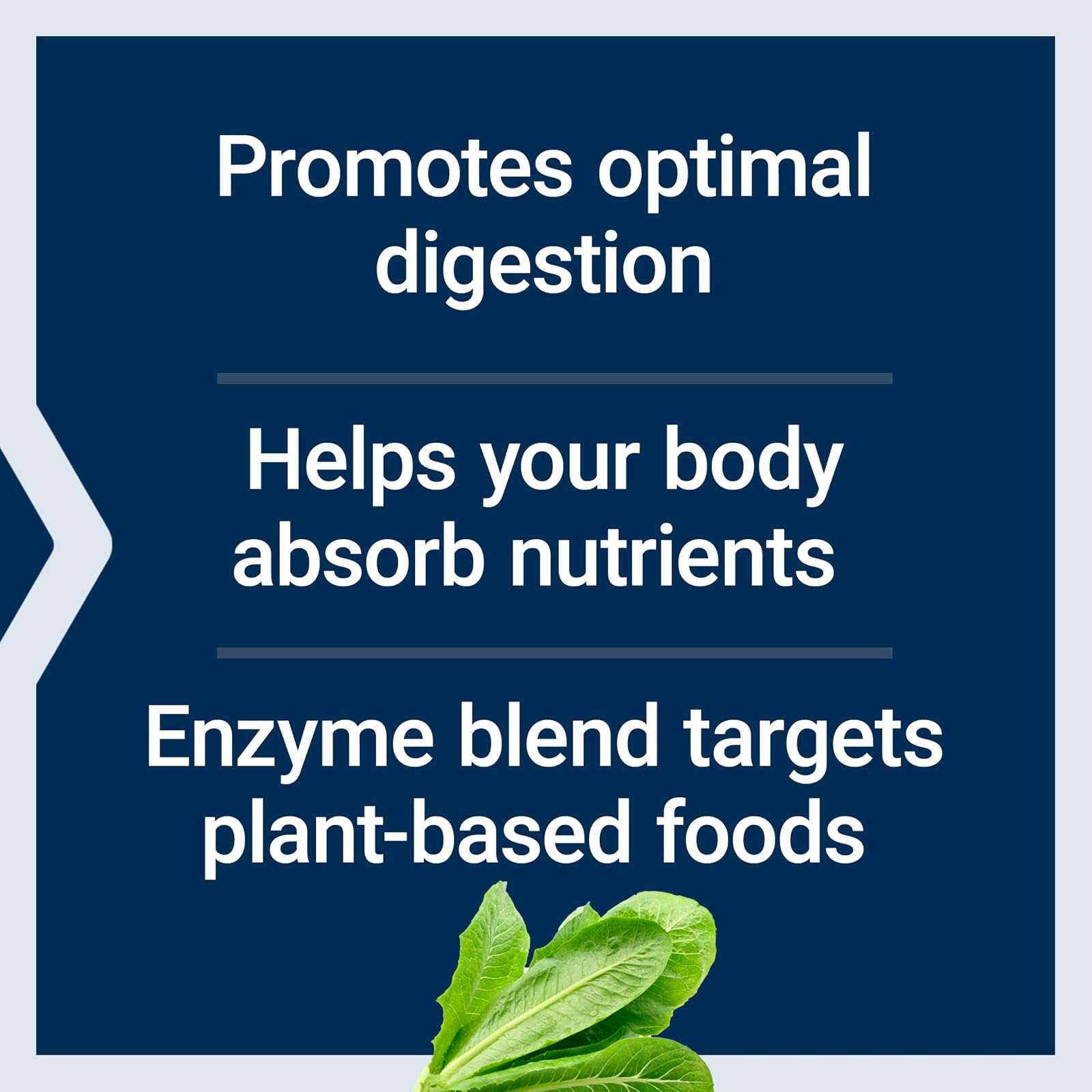 natural digestive enzymes for gut health