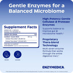 natural digestive enzymes for gut health