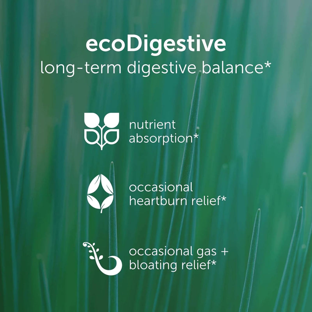natural digestive enzymes for wellness