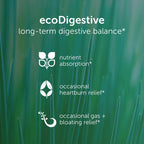 natural digestive enzymes for wellness