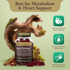 Natural digestive enzymes in gummy form