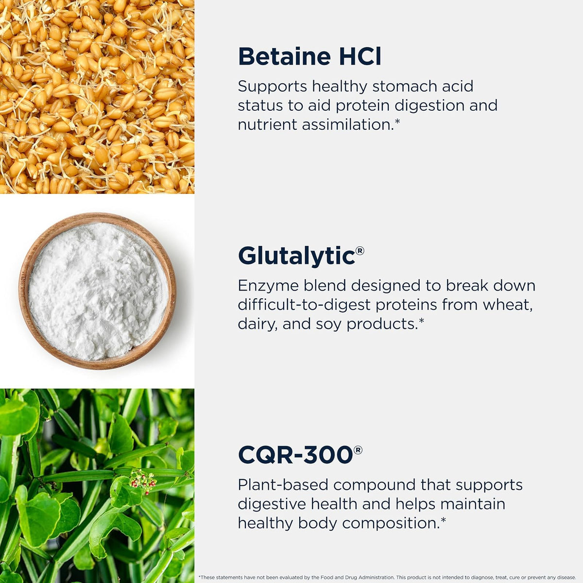 natural digestive enzymes supplement