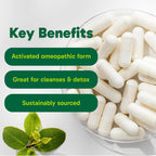 natural digestive enzymes with activated charcoal